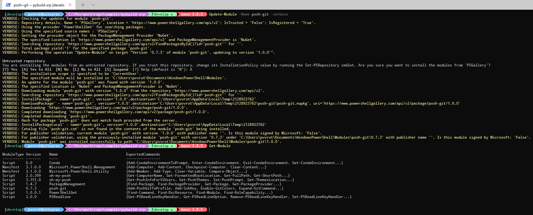 Git branch displayed 2 times and Python environment missing · Issue ...