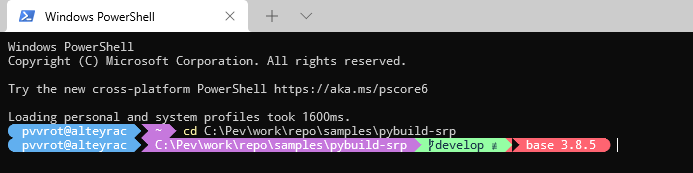 Git branch displayed 2 times and Python environment missing · Issue ...
