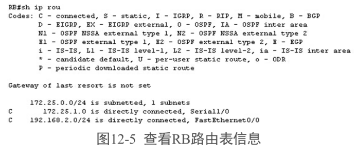 单区域的OSPF配置 · Issue #5 · FocusOn1/computer_network · GitHub