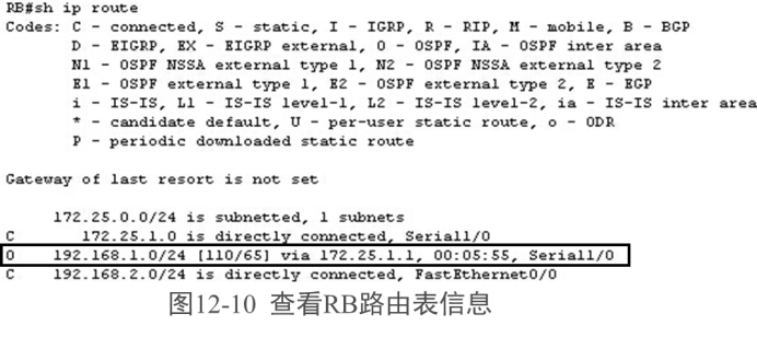 单区域的OSPF配置 · Issue #5 · FocusOn1/computer_network · GitHub