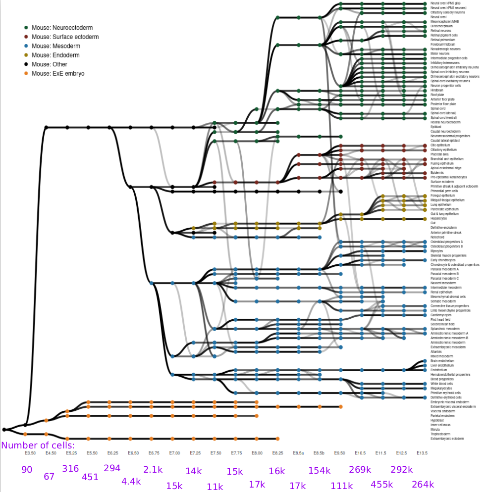 Biological application of Moscot: 1.6M cells scRNA data (TOME) · Issue #181 · theislab/moscot ...
