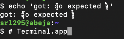 Lana script not working · Issue #3355 · warpdotdev/Warp · GitHub