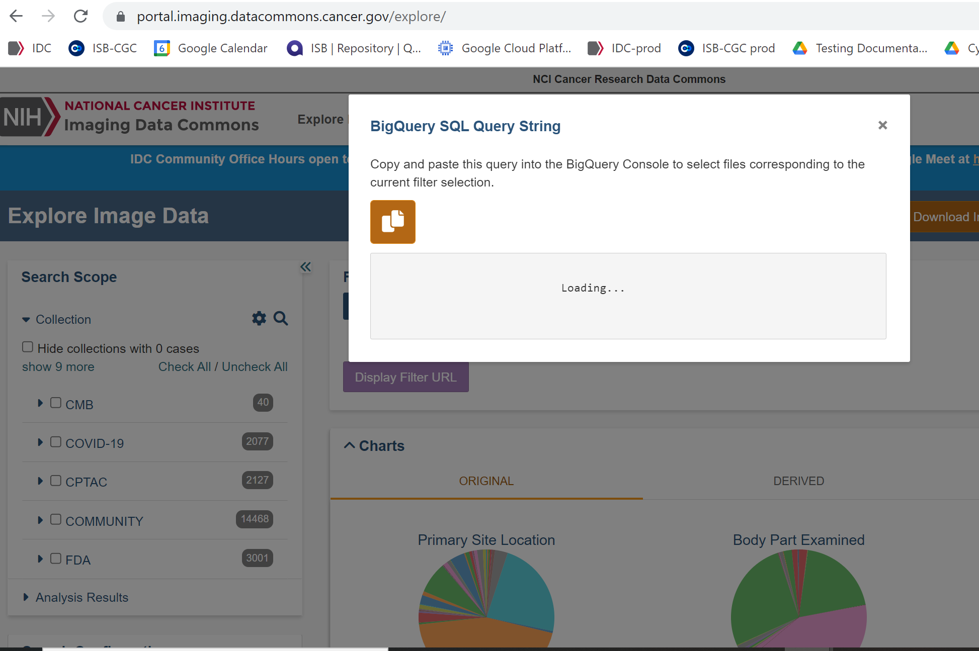 In prod, When a user selects explore images and clicks on SQL string then there is a loading ...