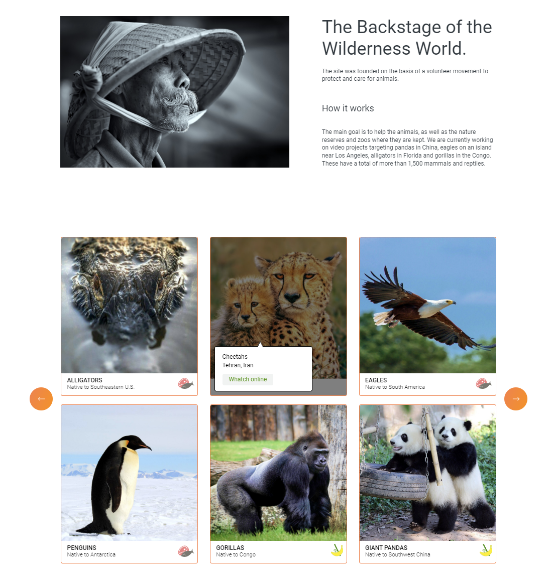 GitHub - evg-zlg/online-zoo: Site about animals