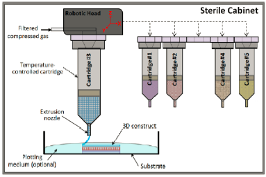 GitHub - jermason95/3D-Bioprinted-Tissues