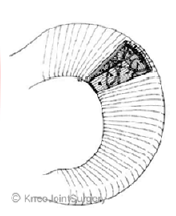 GitHub - jermason95/3D-Bioprinted-Tissues