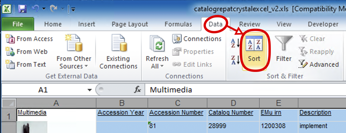 How do I open a Crystal report in Excel? · fieldmuseum EMu ...