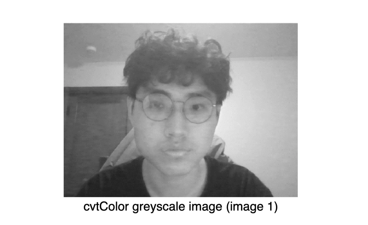 GitHub - hongyuwan/ComputerVisionProject