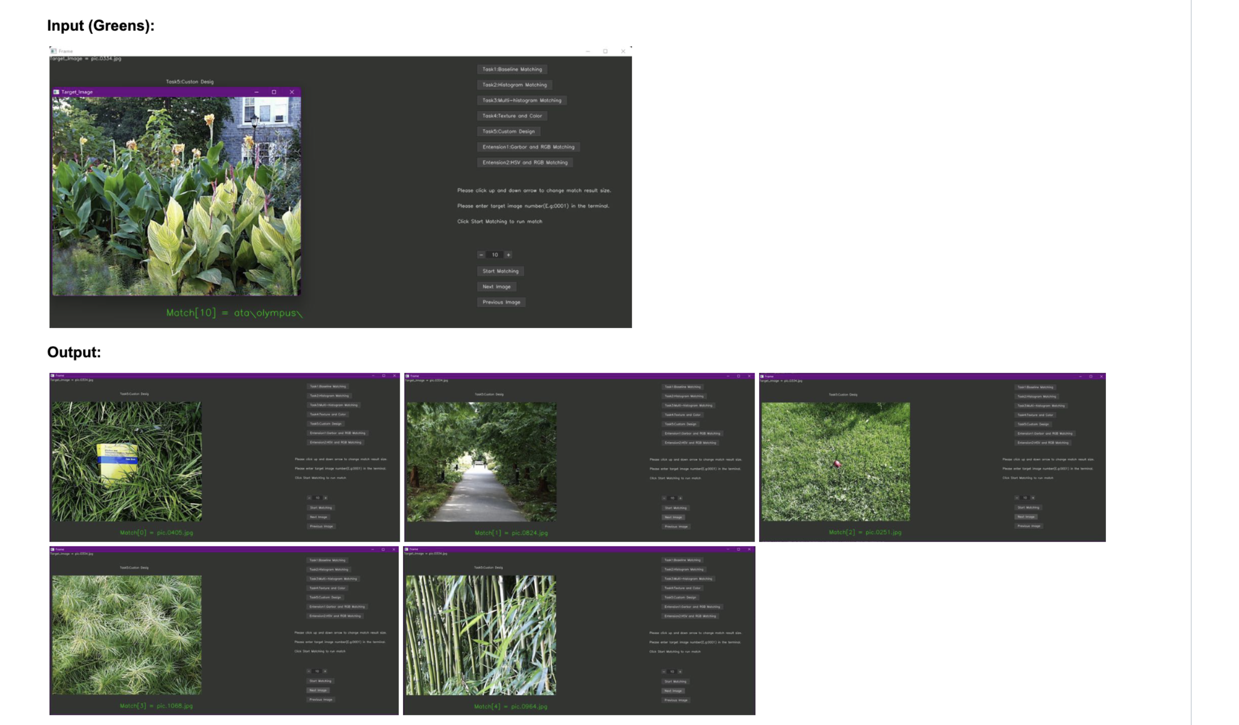 GitHub - hongyuwan/ComputerVisionProject