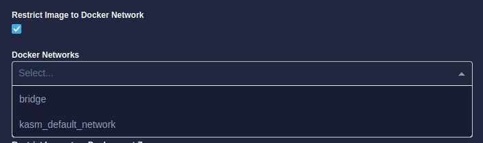 [Help Wanted] Docker Networks Not Shown · Issue #344 · kasmtech/workspaces-issues · GitHub
