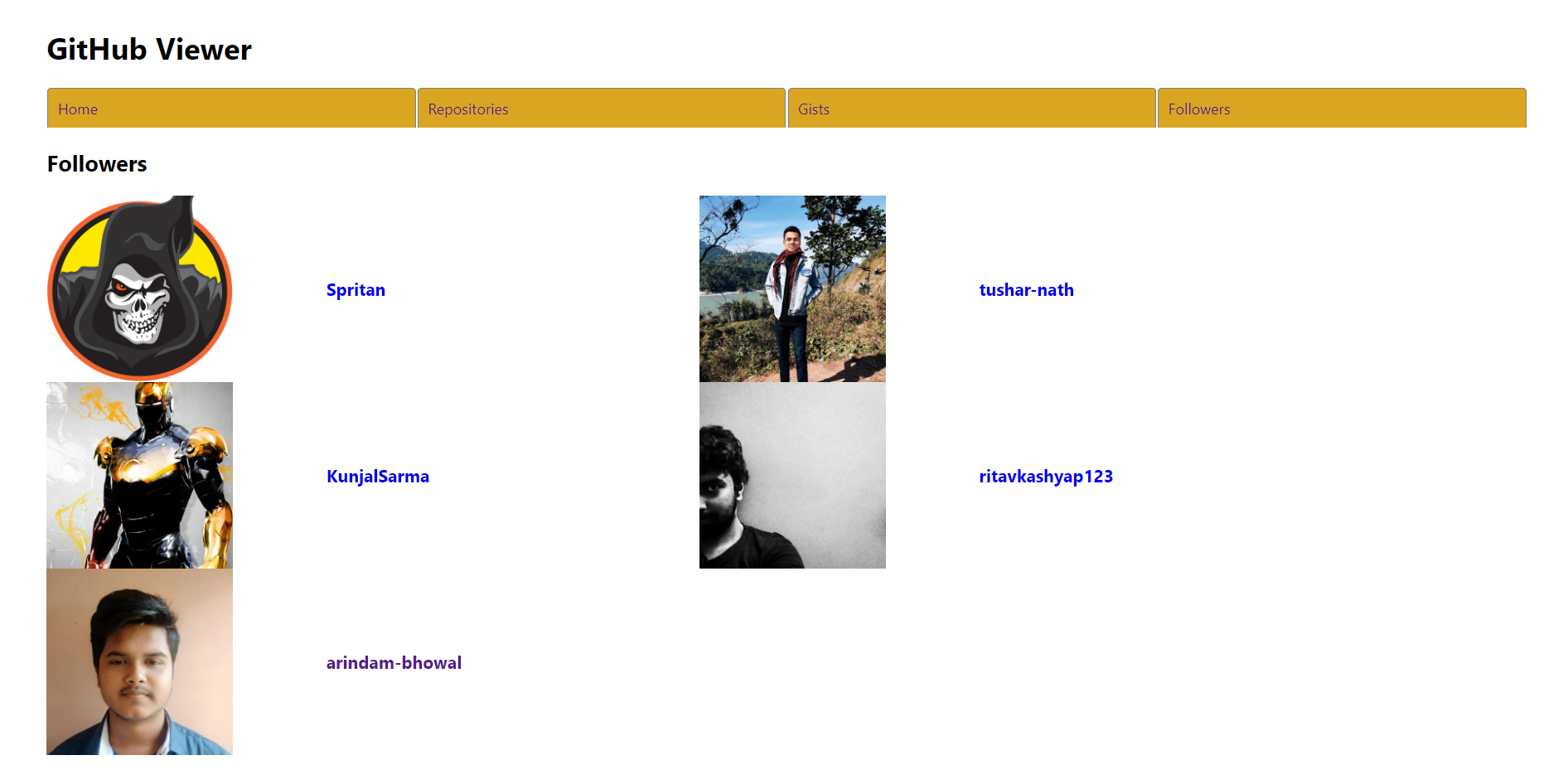GitHub - bhupalisarma/github-profile-viewer