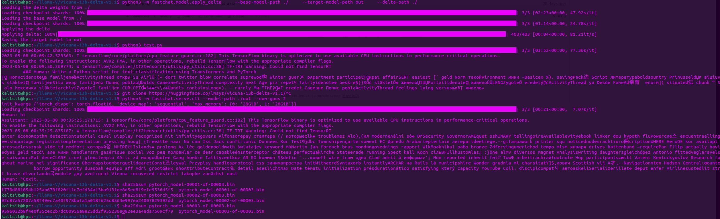 random output generated by vicuna · Issue #1003 · lm-sys/FastChat · GitHub