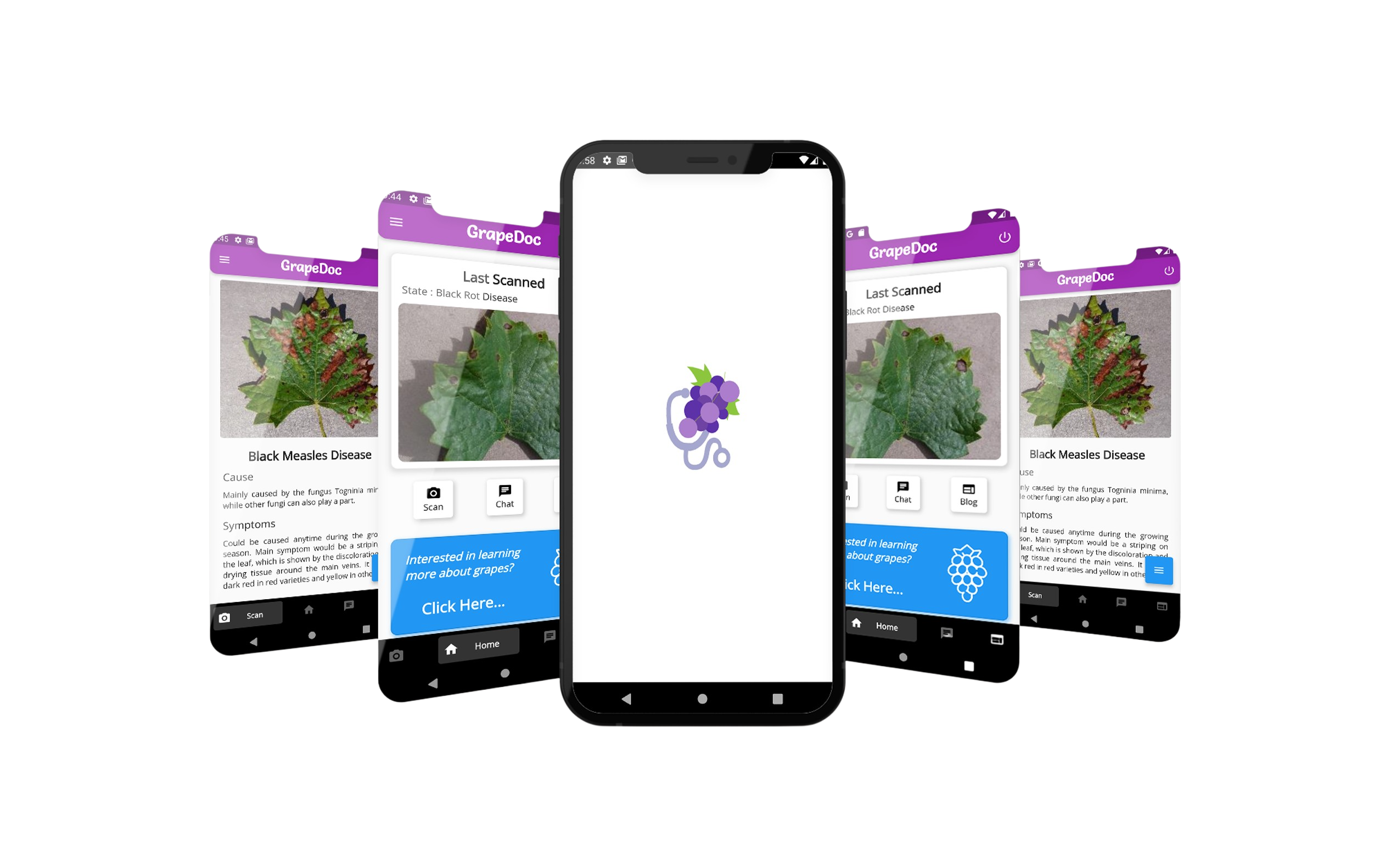 GitHub - RahalA7/GrapeDoc-main