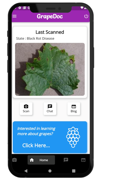 GitHub - RahalA7/GrapeDoc-main