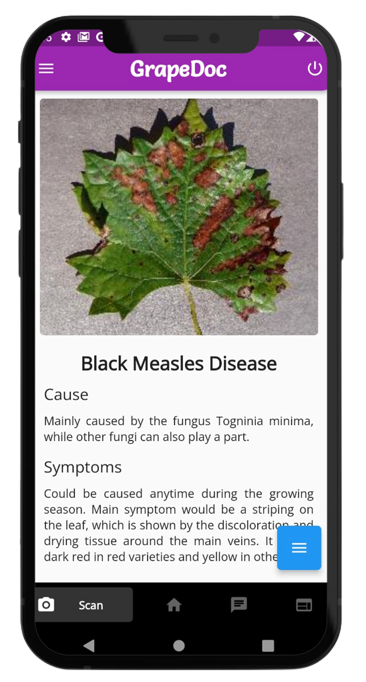 GitHub - RahalA7/GrapeDoc-main