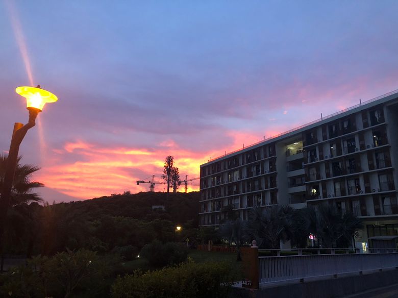 GitHub - WenYu-Zzz/daily