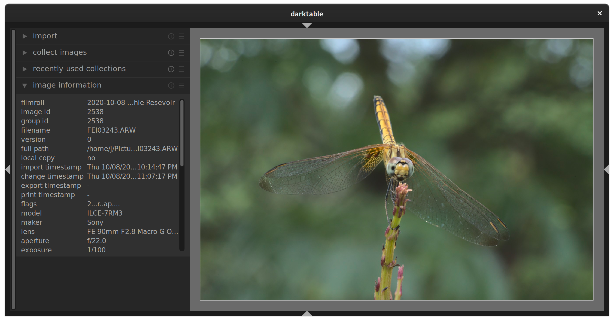 Image Information panel requires scrolling, when empty space is ...