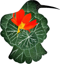 GitHub - SpeciesFileGroup/nasturtium: A Ruby wrapper for the ...