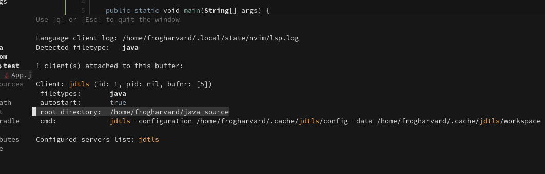 Neovim jdtls can't resolve dependencies when child pom uses version property from parent pom ...