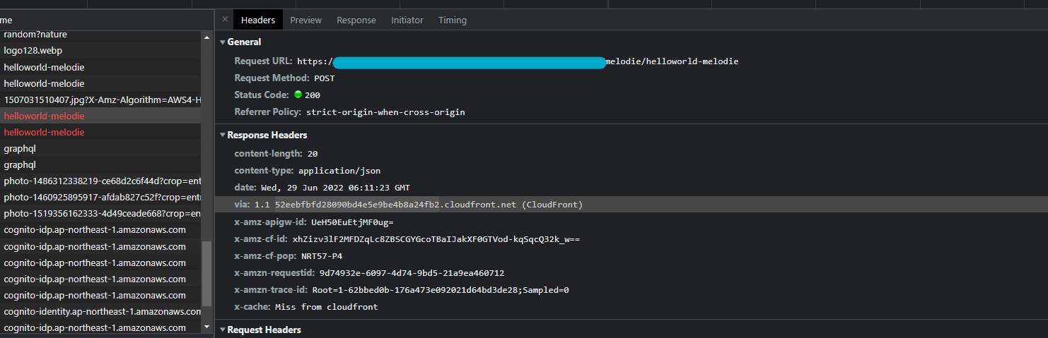 Running Apipost From Localhost Using Amplify Api But Cannot Resolve