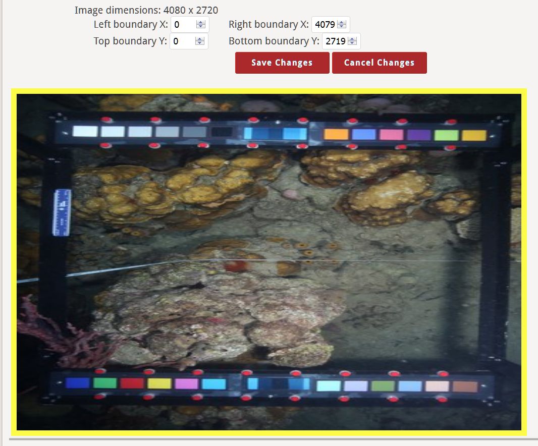 Problems with EXIF-rotated thumbnails · Issue #332 · coralnet/coralnet ...