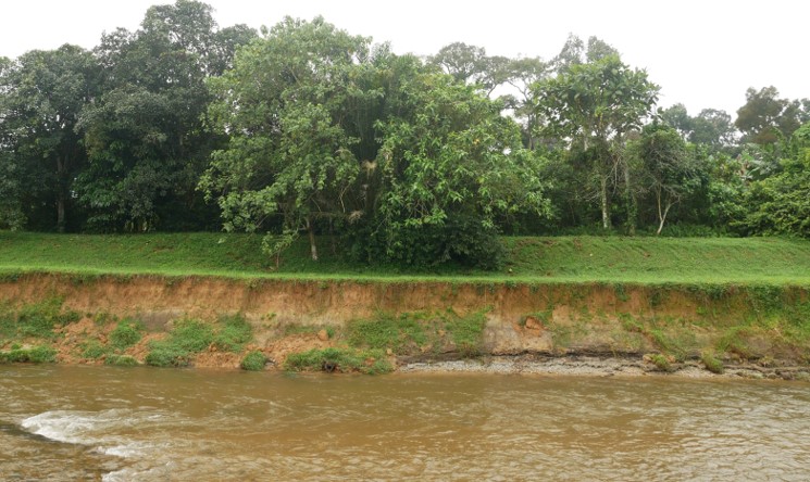 GitHub - azlindasaadon/NNARX: The project uses a nonlinear ...