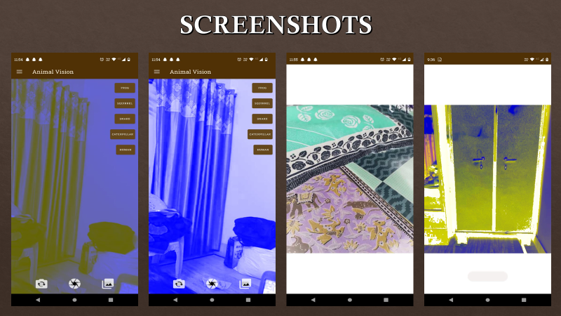 GitHub - kalpanagarg9224/Envision-world-through-animal-vision