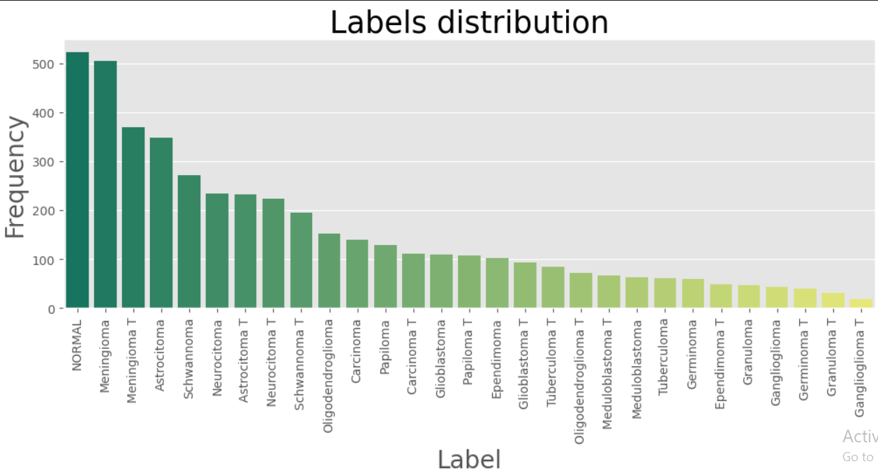 GitHub - bassantmedhat/Brain_Tumor_Classification_Using-Deep-Learning-