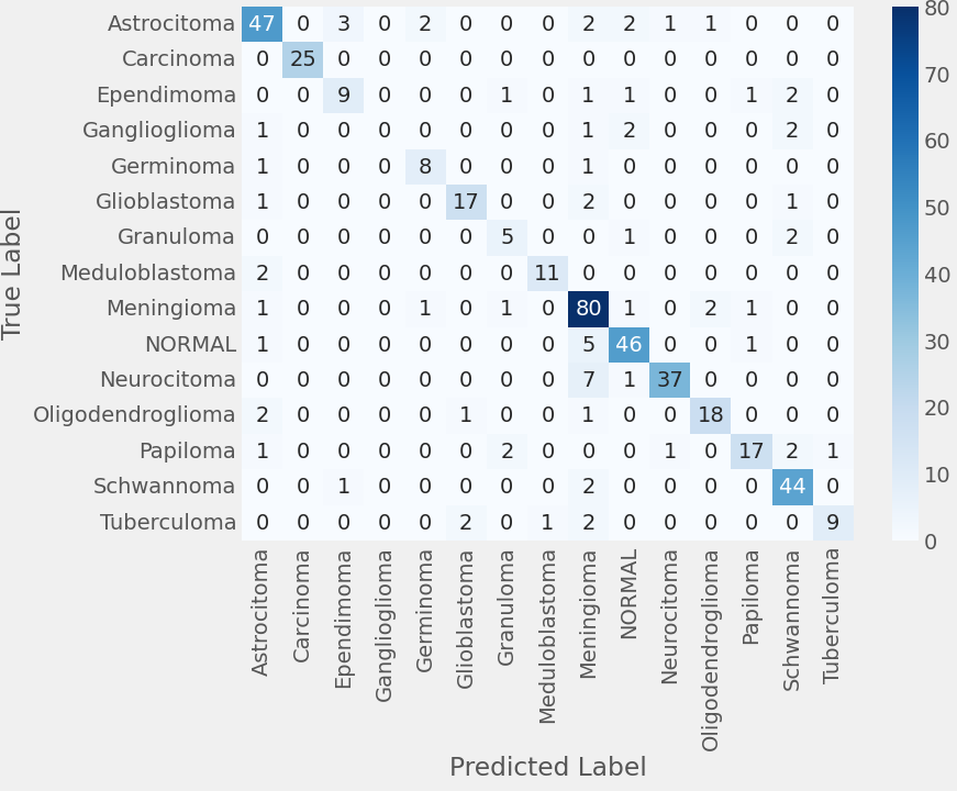 GitHub - bassantmedhat/Brain_Tumor_Classification_Using-Deep-Learning-