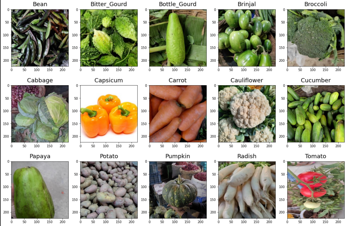GitHub - HaiDangAI/Vegetable_Classification