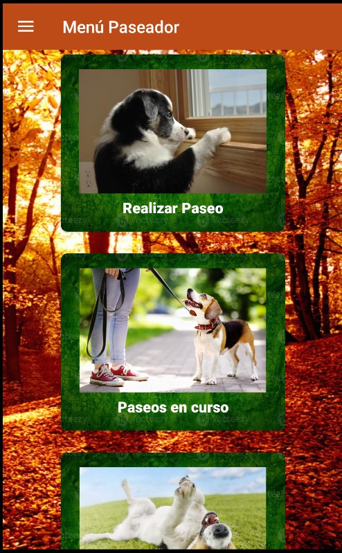 GitHub - ZeroX005/Huellitas: Proyecto personal sobre un aplicativo móvil para la reserva de ...