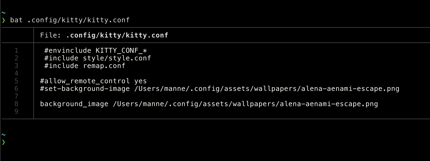 background_image path doesn't display an image, but works when set from remote using set ...