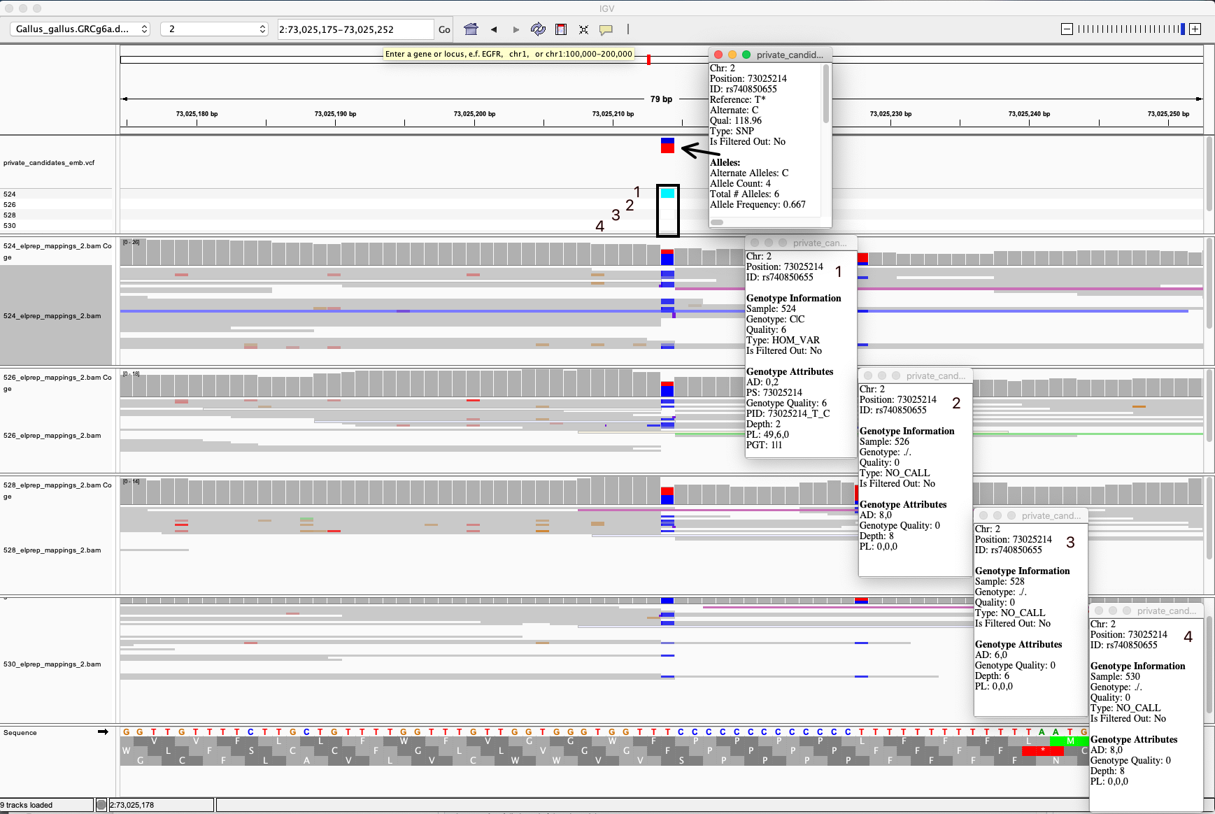 elprep5: gVCF does not match BAM read pileup · Issue #61 · ExaScience/elprep · GitHub