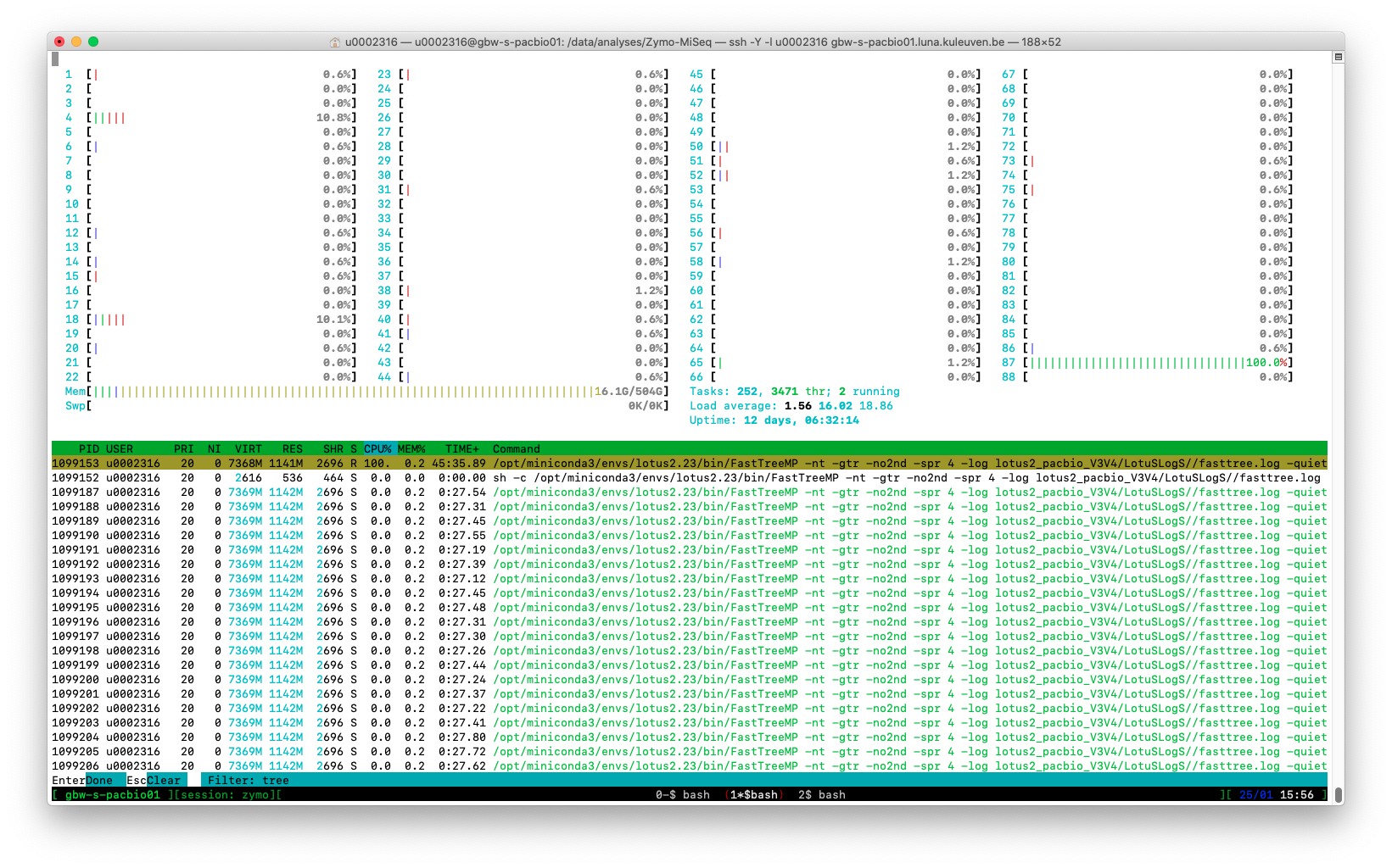 can we multithread the tree making step? · Issue #32 · hildebra/lotus2 · GitHub