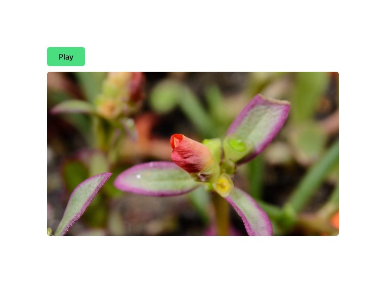 GitHub - 2Kelvin/synchronizing-with-effects