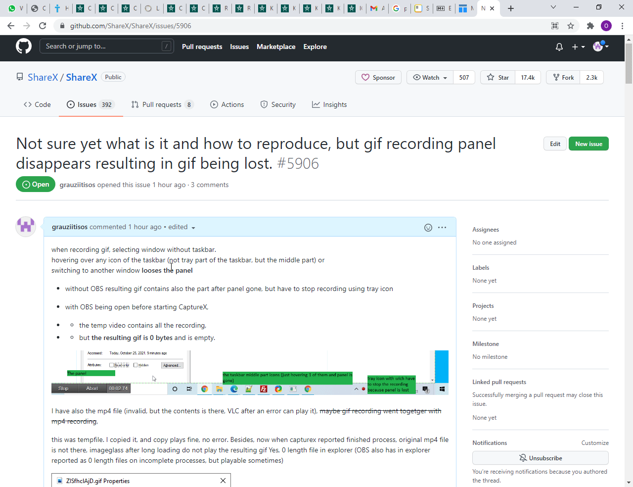 Not sure yet what is it and how to reproduce, but gif recording panel ...