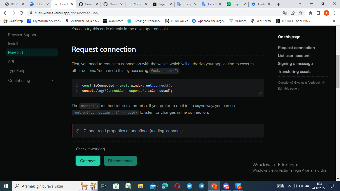 connectıng problem · Issue #403 · FuelLabs/fuels-wallet · GitHub
