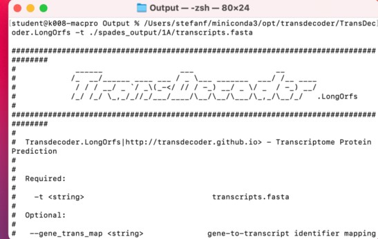 No Output Produced By Longorfs · Issue 131 · Transdecoder Transdecoder · Github