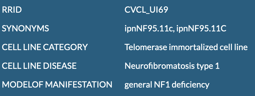 nf-rdb-convert-camel-case-column-names-to-display-names-issue-543