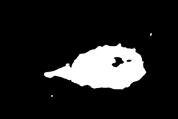 GitHub - KarimHanie/Image-Processing-segmentation-leaf