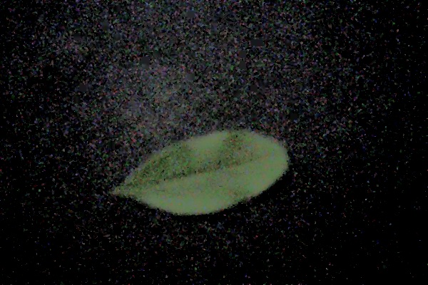 GitHub - KarimHanie/Image-Processing-segmentation-leaf