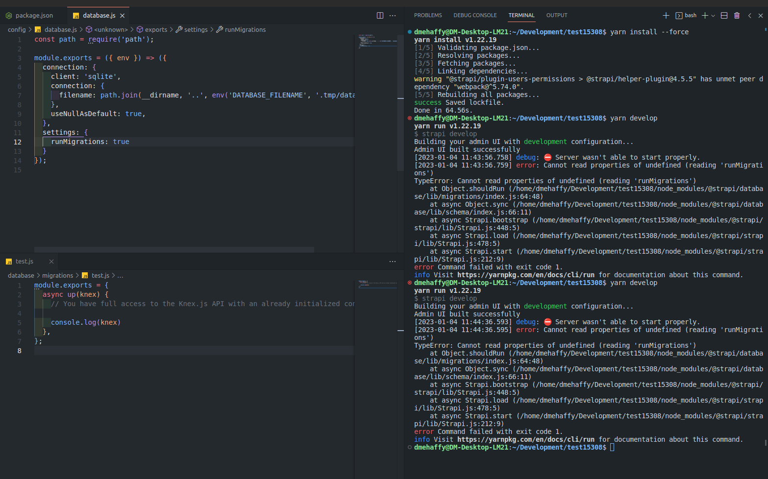 Cannot read properties of undefined (reading 'runMigrations') · Issue #15308 · strapi/strapi ...