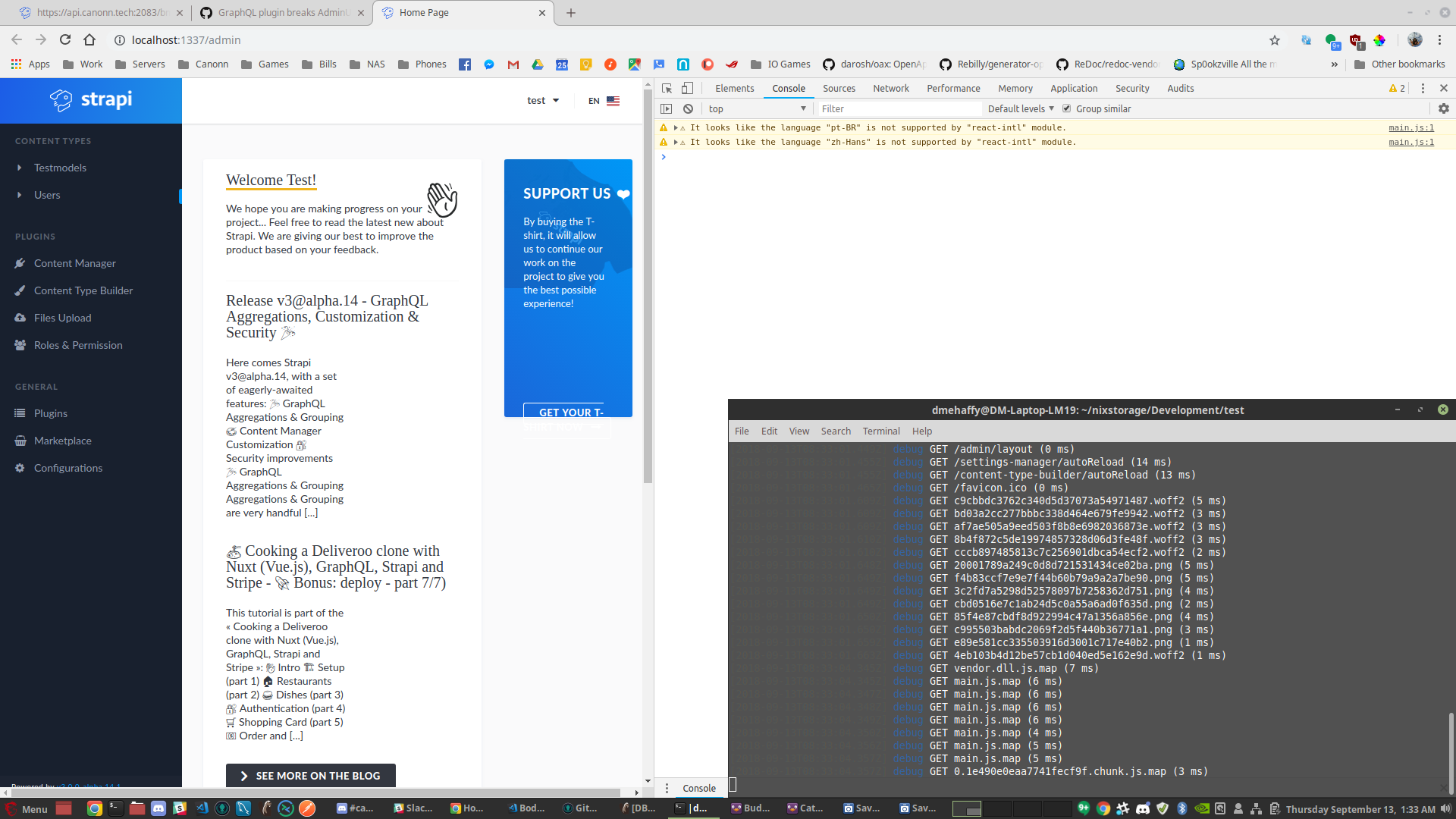 GraphQL plugin breaks AdminUI loading plugins on all ORMs · Issue #1938 · strapi/strapi · GitHub