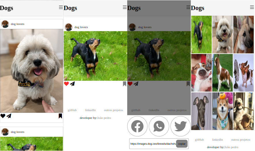 GitHub - jp-sena-dev/instaDog