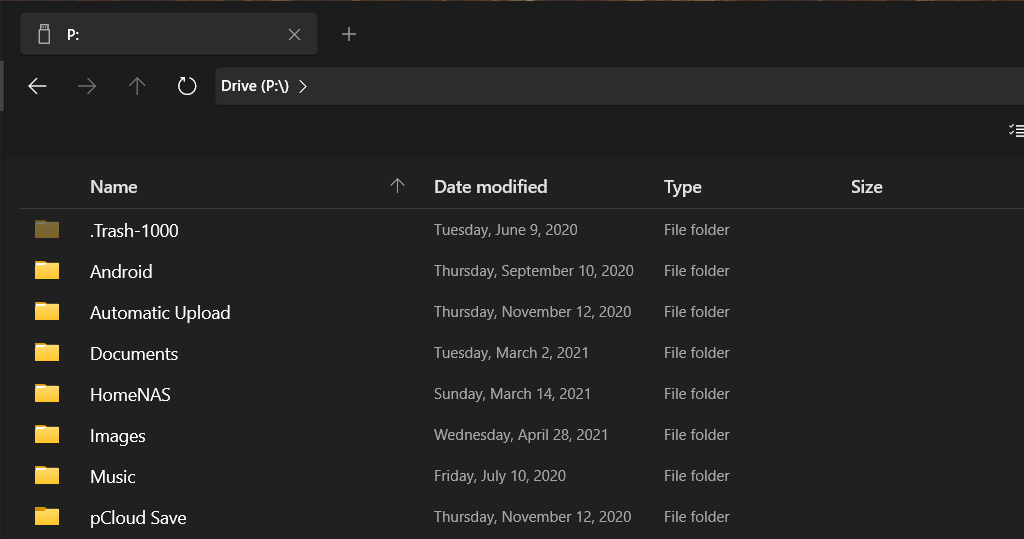 pCloud P: in address bar will get you BSOD · Issue #5085 · files-community/Files · GitHub