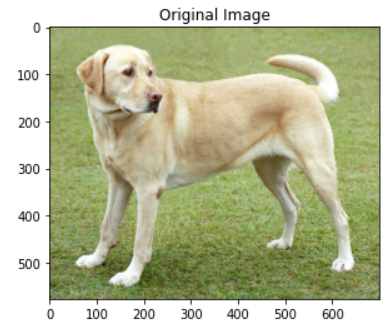 GitHub - DhyeyR-007/Neural-Style-Transfer