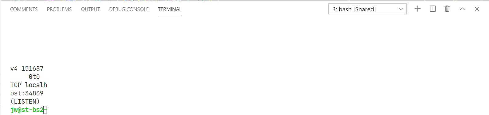 LiveShare Terminal doesn't resize properly · Issue #101492 · microsoft/vscode · GitHub