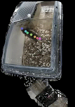 GitHub - common-chenlab/HomecageVideoAnalysis: Homecage video analysis for the Lab of Jerry Chen ...