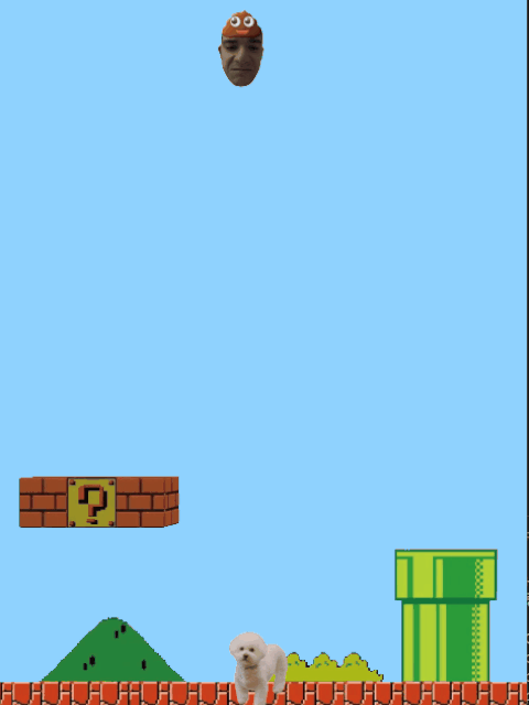 GitHub - jameshan54/Avoiding_Poop_Game: pygame module