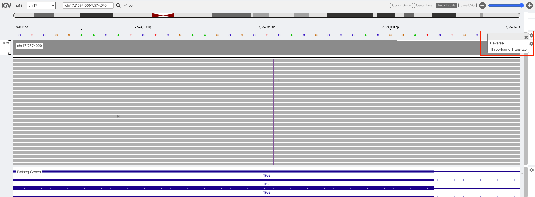 How to enable Three-frame Translate by default? · Issue #1491 · igvteam ...